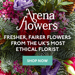 The Best Flowers for Every Occasion: A Guide to Choosing the Right ...